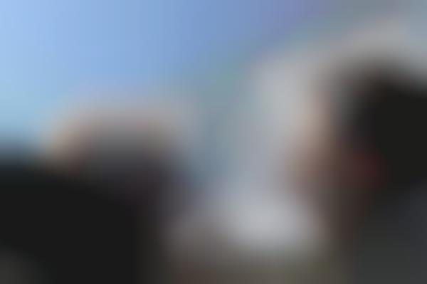 Moving $1 Homes: Iconic 'Lieb House' Rescued from Wrecking Ball by ...