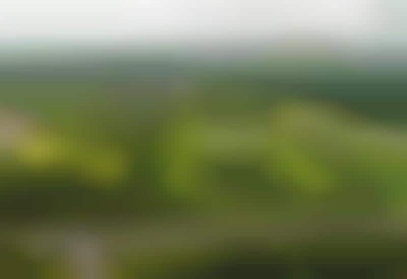 Tiered Garden Science Centers : malopolska science center