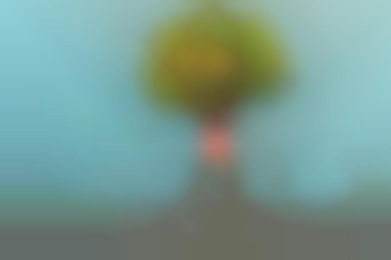 Dynamic Activewear Capsules : activewear capsule