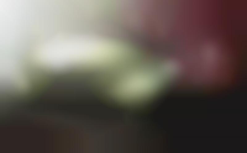 Boxy Autonomous Vehicles : Renault Avame