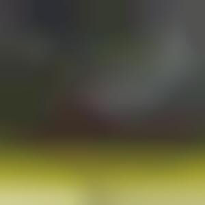 Redneck Amusement Parks: The Human Slingshot and Other DIY Backyard Rides