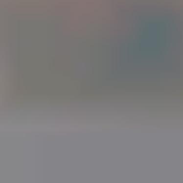 Censoring Personal Expression: Colorado DMV Says No to Tofu License Plates