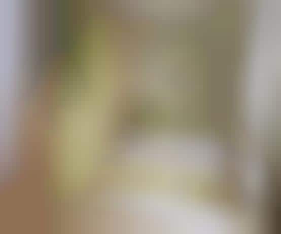 Contemporary Kids' Rooms: Tantrum-Tenderizing Room Themes From Tots to ...