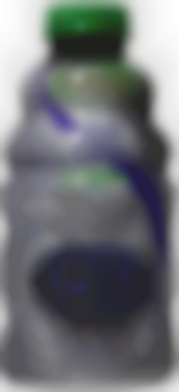 Energizing Wild Blueberry Juices : wild blueberry juice