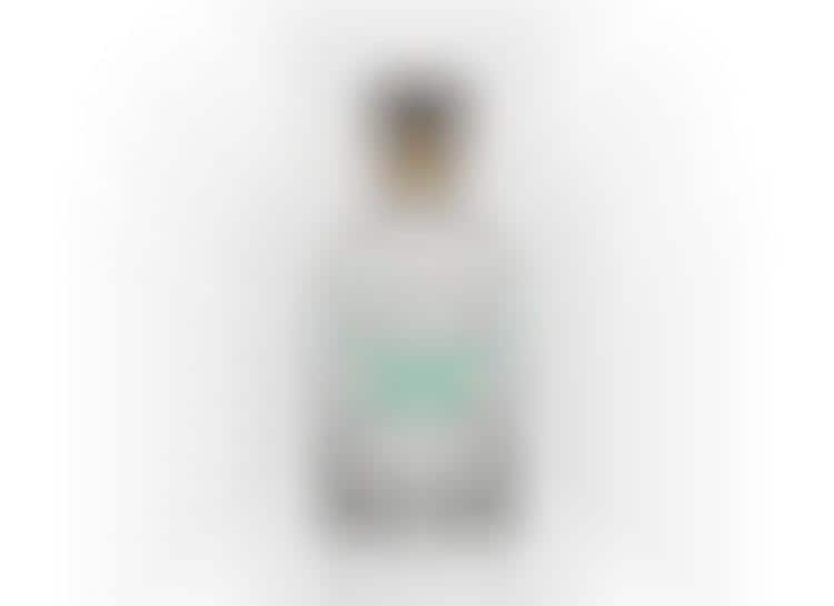 Hemp-Infused Gin Spirits : hemp infused gin