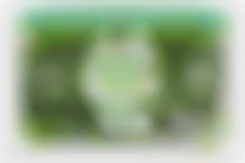 Snack-Sized Cucumbers : CuteCumber