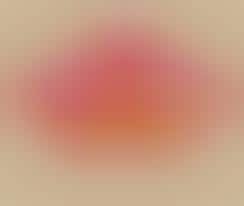 Tamper-Proof Bread Packaging : Albany Bakeries