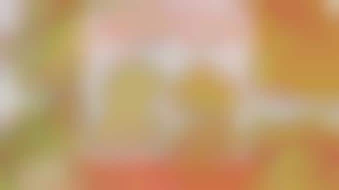 Personalized Taco Variety Menus : Mix & Match Street Tacos