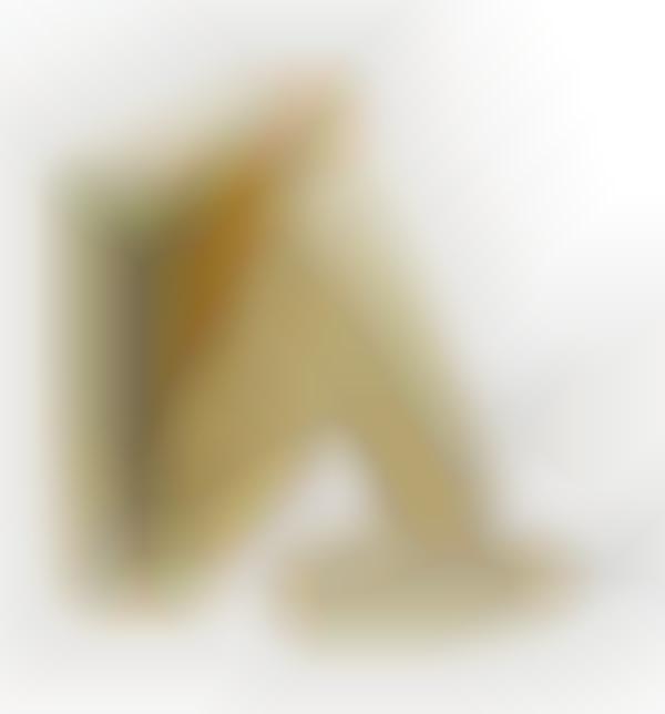 Golden Game Consoles: The Queen Receives Gold-Plated Wii from THQ