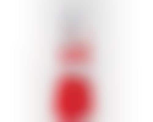 Bluetooth-Connected Inhalers : ProAir Digihaler