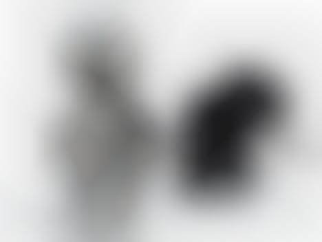 Repugnant Twin Robots: Pushya and Pullya By Paul Grader Bring Your ...