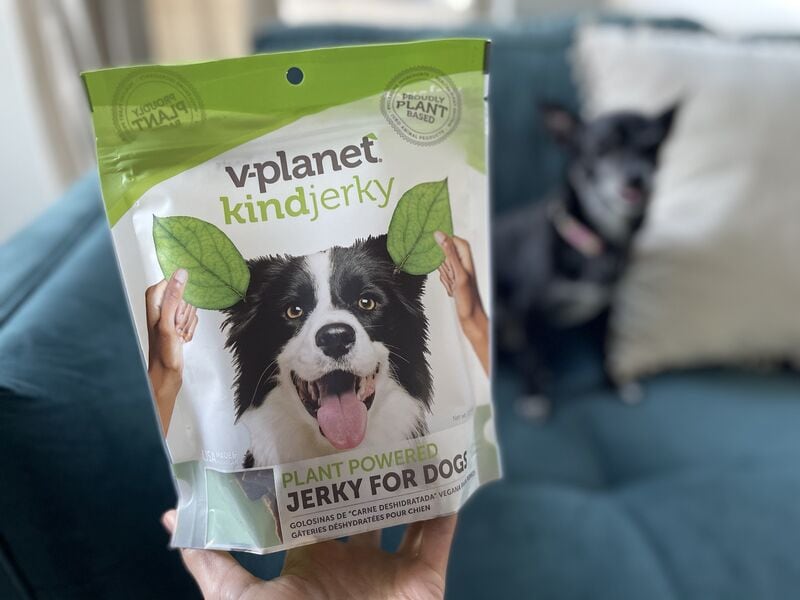 Dog-Friendly Meatless Jerky : Vegan Treat for Dogs