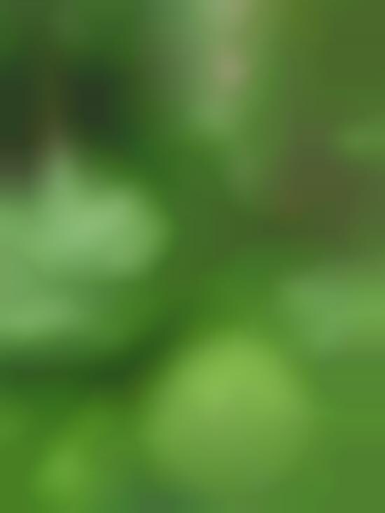 Lush Communal Landscapes: Rowland Byass' Compton Street Garden ...