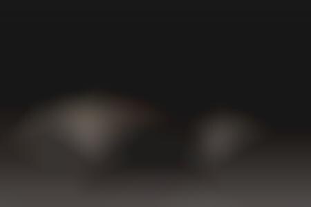 Single Seat Supercars: The Bionamic by Guney Kol is a One-Seater Electrical Speeder