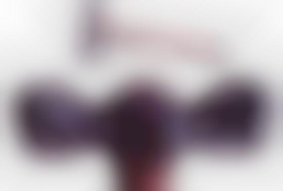 Humanized Hammers: Paul Martus Adds a Human Touch to Machinery (UPDATE)