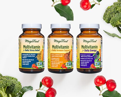 Lifestyle-Focused Multivitamins : MegaFood multivitamin line