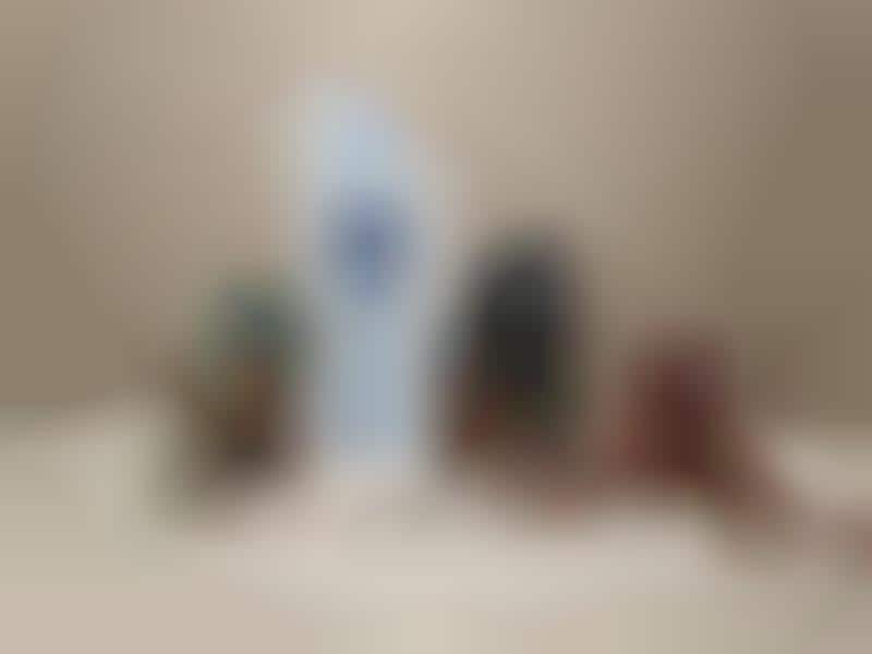 Nature-Themed Bioceramic Watches : Colors of Nature