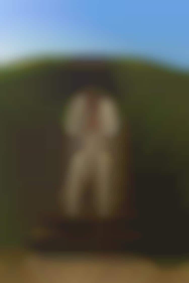 Progressive Thought-Provoking Fashion : a little flower