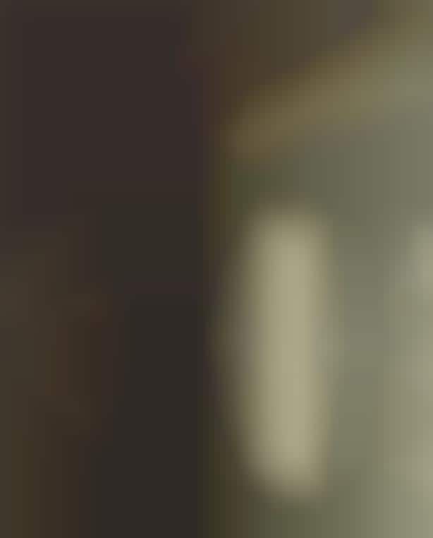 Mussel-Incorporating Bio-Glass Tiles : bio-glass tiles