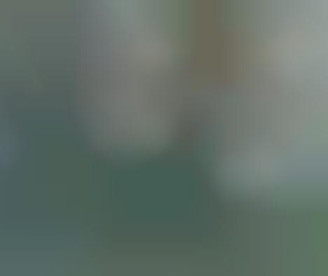 Gelatinous Art Installations: Tina Stoica's 'Jelly Gigant' Brings the Marine World Ashore