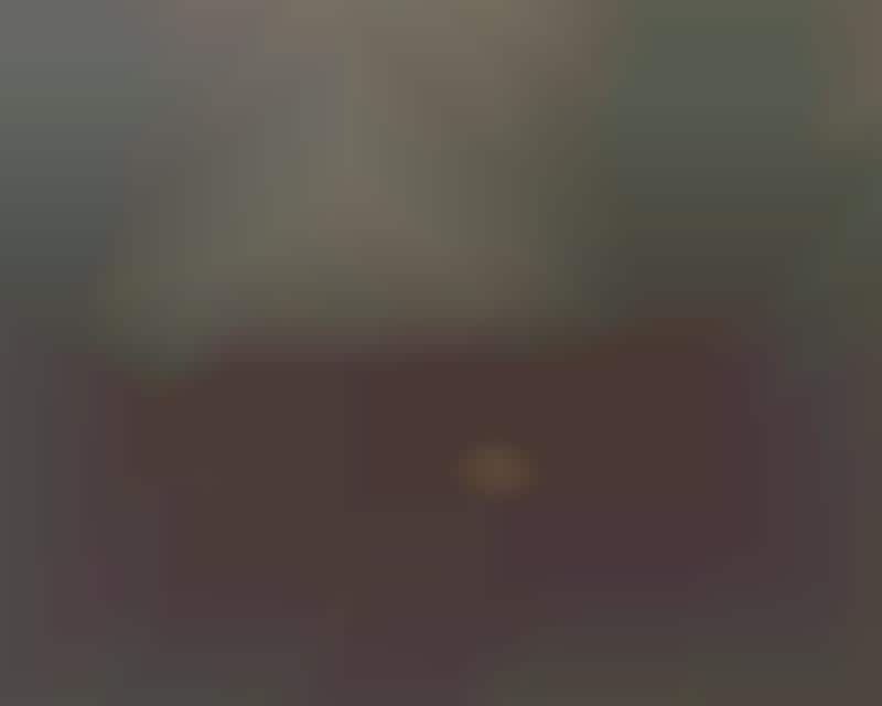 Bridge-Borne Art Museums : art museum