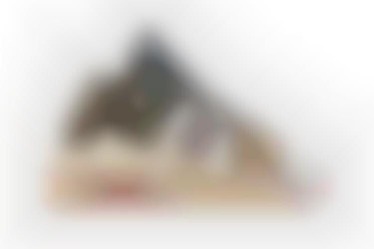 Animal-Patterned Dynamic Sneakers : Animal design 1