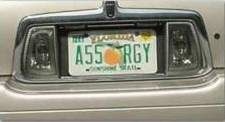 10 Unusual License Plates