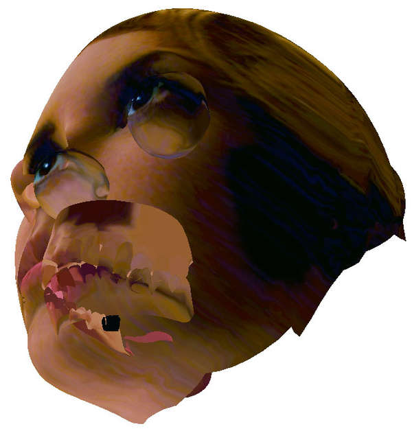 Contorted Face Creations: Kari Altmann Creates Twisted Art from Human ...