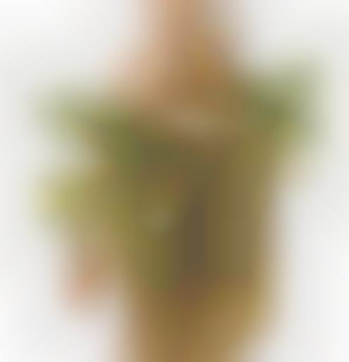 Recycled Billboard Bags: Eco-Friendly Purses Made From City Advertisement