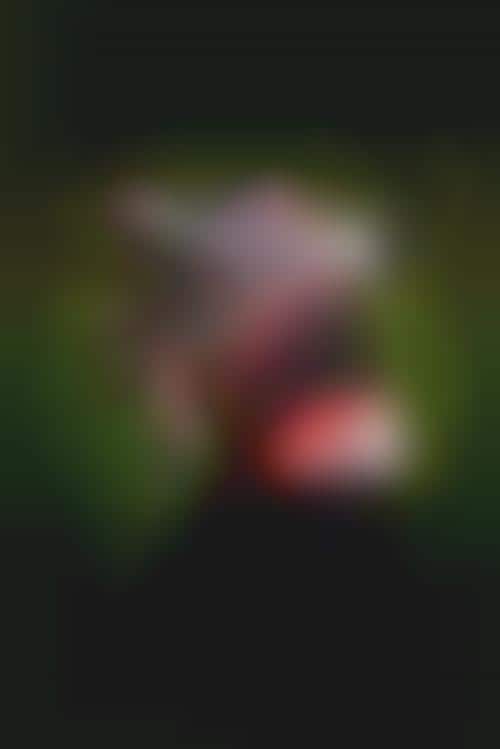 Striped Skin: Kyriakos Envisions Humans Without Facial Features