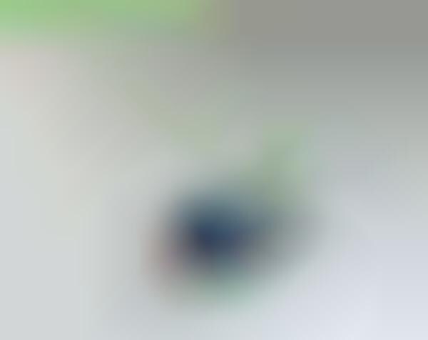 Nature-Inspired Mobile Phones: The Leaf Phone by Anastasia Zharkova is ...