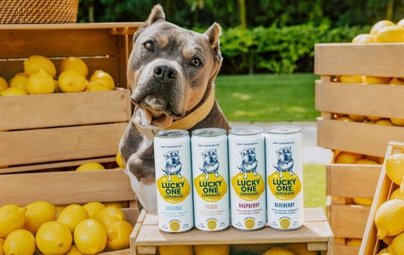 Refreshing Vodka Lemonade RTDs : Lucky One Lemonade