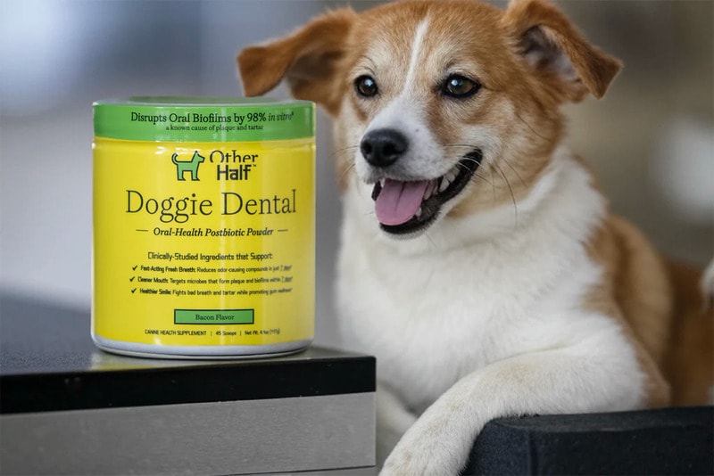 Postbiotic Dog Dental Powders : Doggie Dental Powder