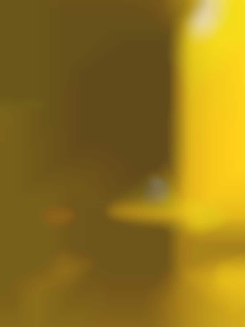 All-Yellow Leisure Spaces : Yellow Pavilion