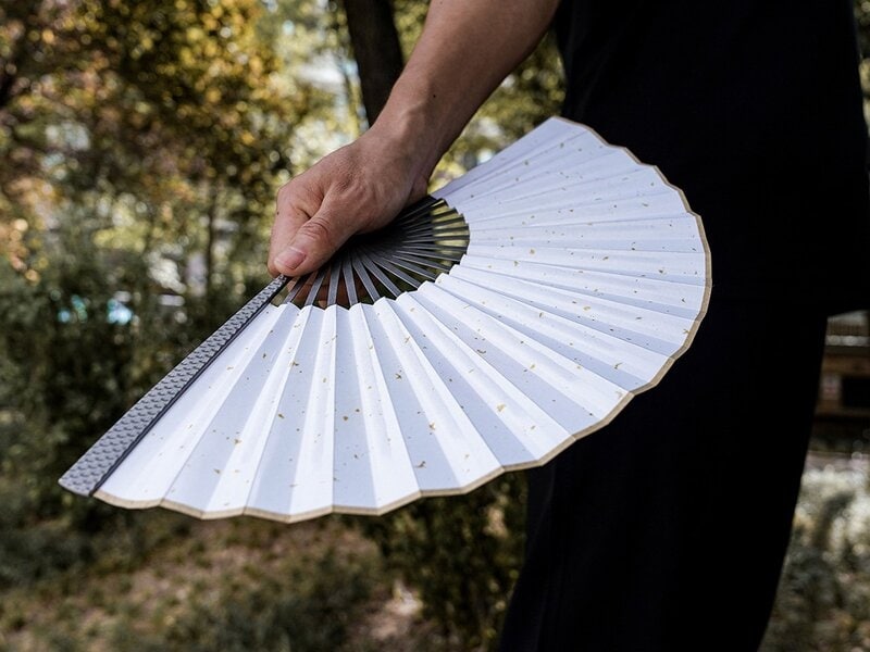 Modern Folding Fans : TI‑armour Titanium Fan