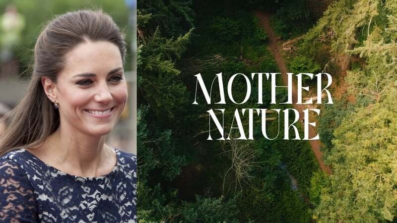 Regal Seasonal Solace Films : mother nature summer film