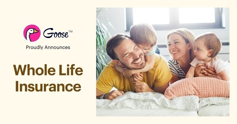 Whole Life Insurance Distributions : Goose Insurance