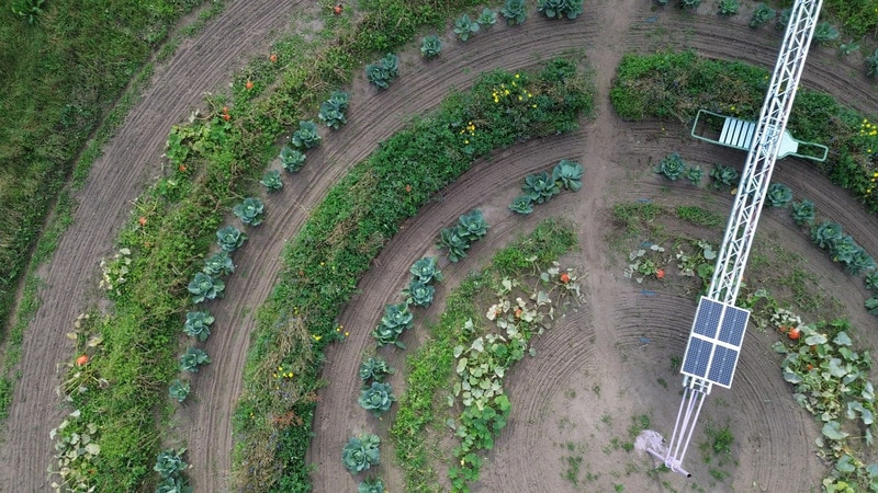 Clean the Sky - Circular Farming Fields