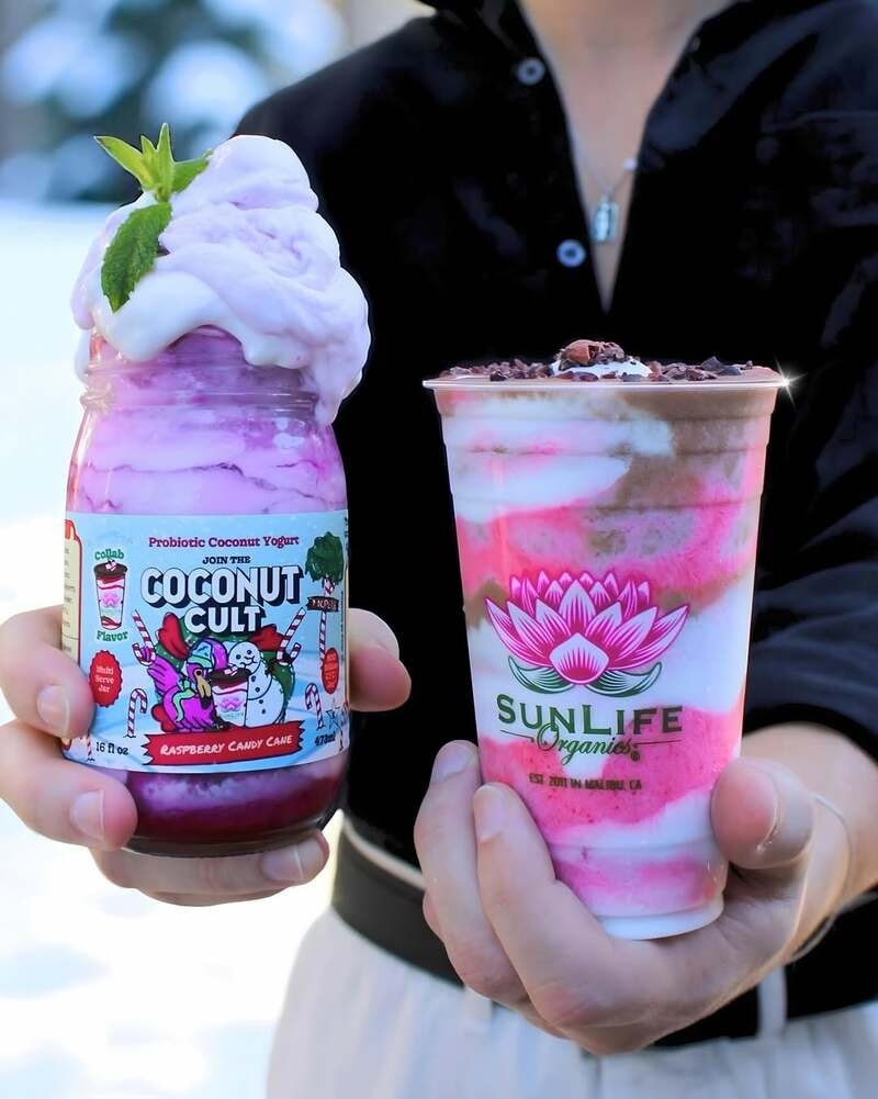 Festive Probiotic Yogurts : coconut cult