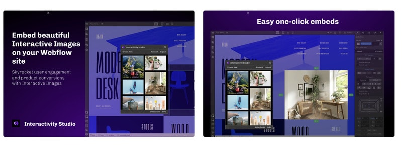 Interactive Web Designs : Interactivity Studio1