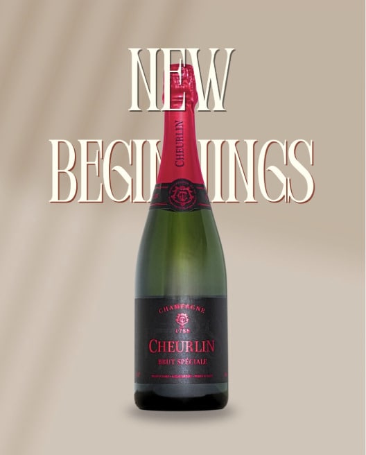 Premium Kosher Champagne Collections : kosher Champagne