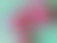 Meth + Pop Rocks = Strawberry Quik (Drug Branding Or Dealing to Kids?):