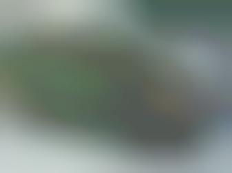 First Open-Source Car: C,mm,n