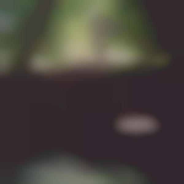 Fall Romance Spreads: Francesca Tallone Antler Magazine Shoot Follows a ...