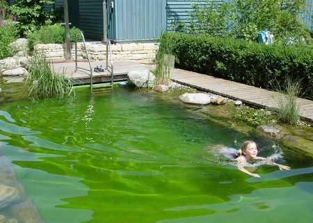 Personal Swimming Ponds: Swimming With Plants and Fish is Eco & Low ...