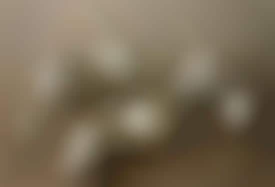 Dutch Vegetable Baubles: Maaike Roozenburg Designs Root-Inspired Ornaments