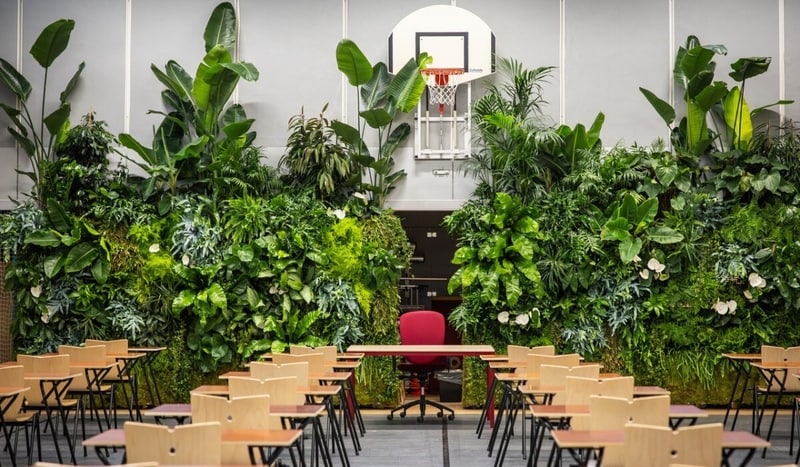 Calming Greenery Initiatives : Plants Flowers Foundation Holland