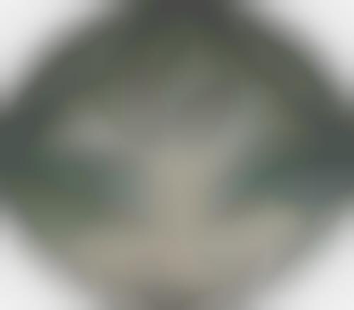 Bacterial Art: Microbiologists Create Stunning Art With Bacteria