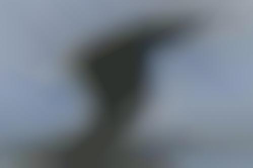 Silent Helicopter Blades : Blue Edge