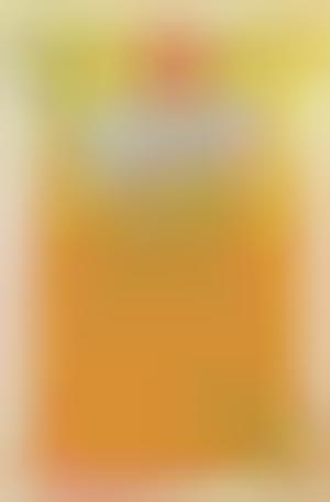 Compostable Chip Bags : Greening Garbage